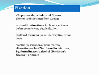 Decalcified section | PPTX | Bone and Joint Conditions | Diseases and ...
