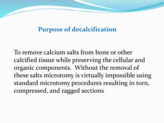 Decalcified section | PPTX