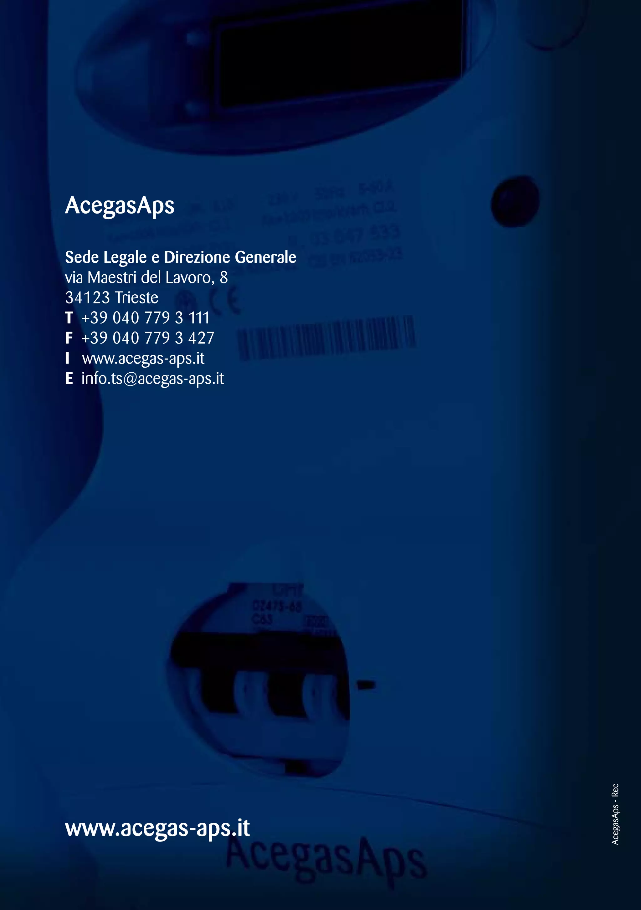 Decalogo AcegasAps | PDF