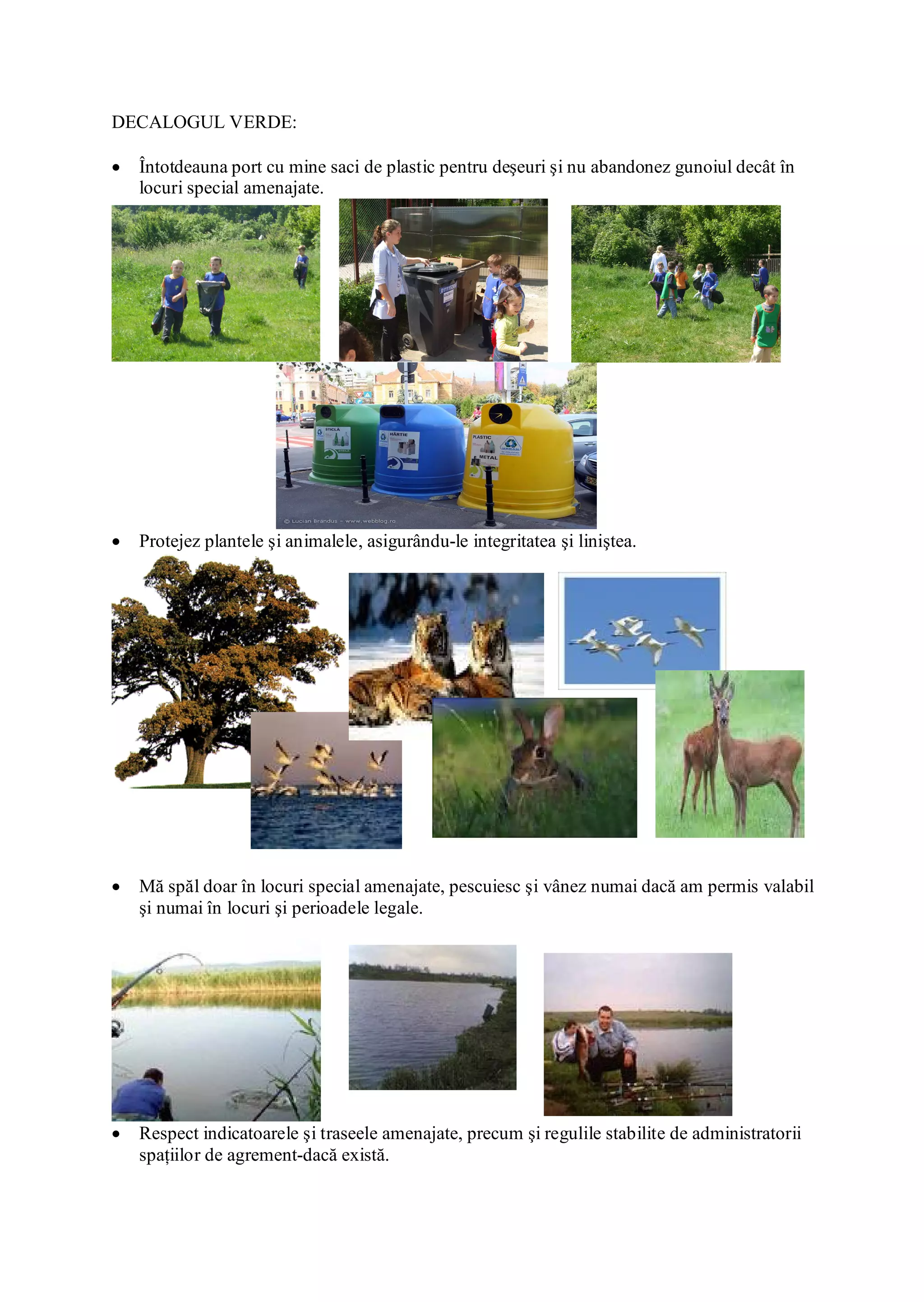 Decalogul verde in imagini educato. Dosa Elena Cluj | PDF