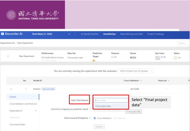 Decanter AI Instruction.pdf