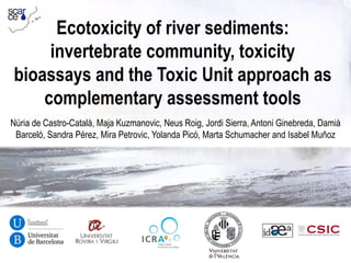 Ecotoxicity of river sediments: invertebrate community, toxicity ...