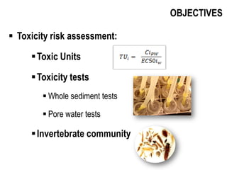 Ecotoxicity of river sediments: invertebrate community, toxicity ...