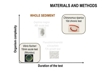Ecotoxicity of river sediments: invertebrate community, toxicity ...