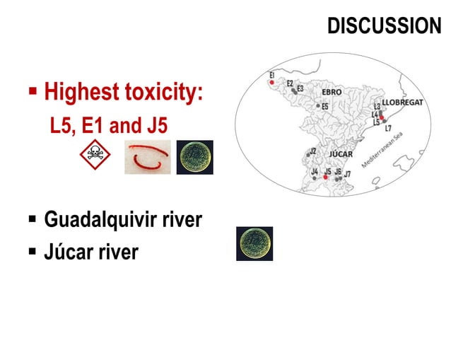Ecotoxicity of river sediments: invertebrate community, toxicity ...