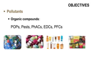 Ecotoxicity of river sediments: invertebrate community, toxicity ...