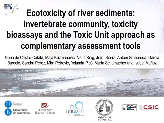 Ecotoxicity of river sediments: invertebrate community, toxicity bioa…