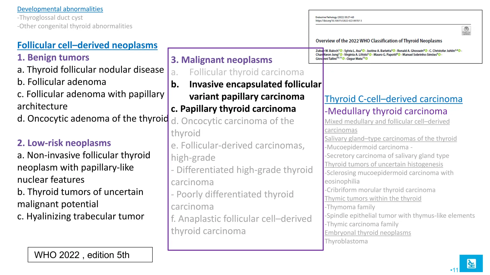 Nouvelle classification OMS 2022 des tumeurs thyroïdiennes | PDF