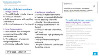 Nouvelle classification OMS 2022 des tumeurs thyroïdiennes | PDF