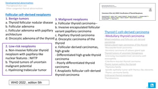 Nouvelle classification OMS 2022 des tumeurs thyroïdiennes | PDF