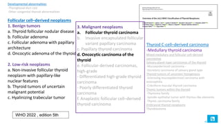 Nouvelle classification OMS 2022 des tumeurs thyroïdiennes | PDF