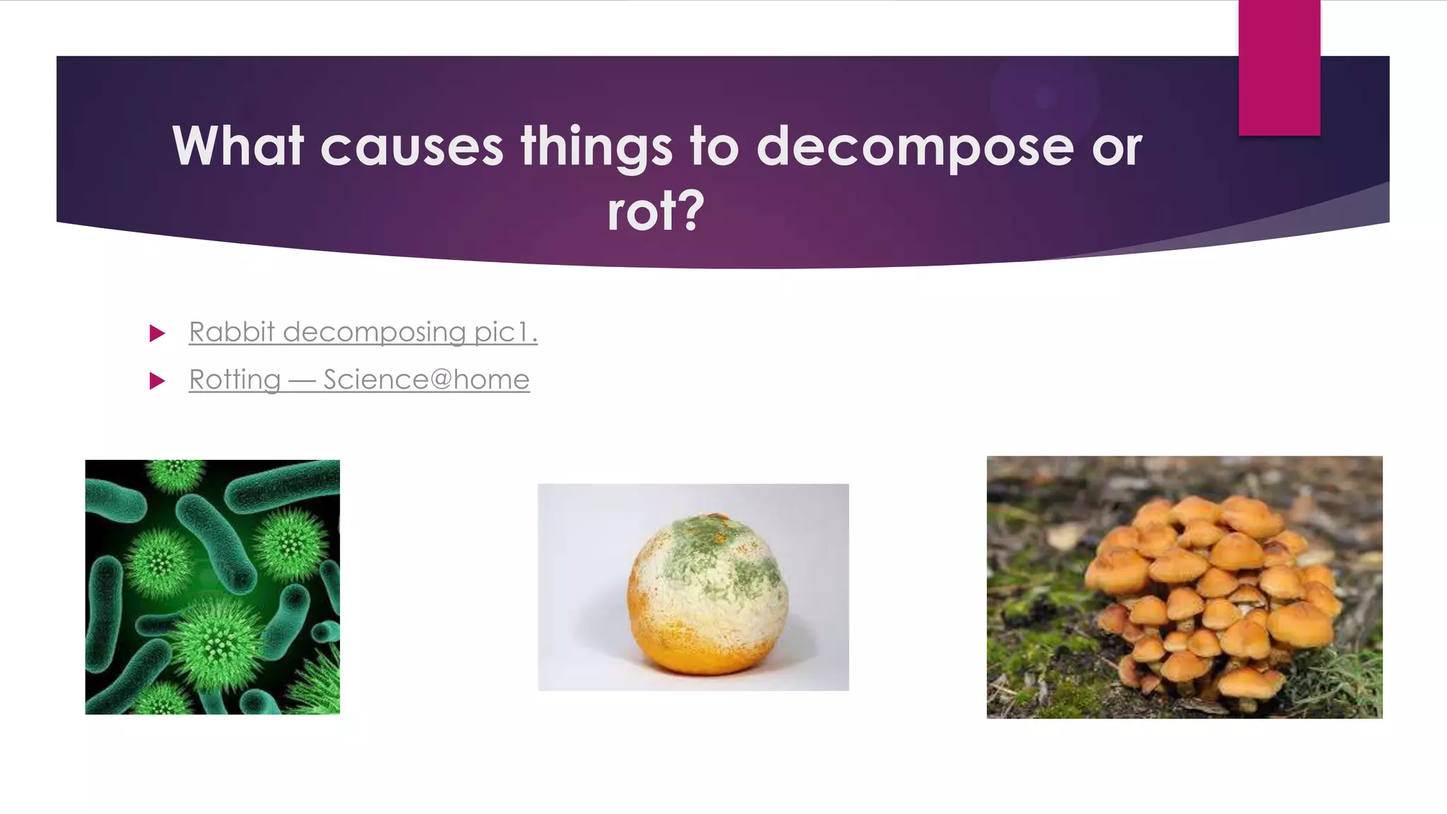 Decay and the carbon cycle | PPT