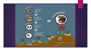 Decay and the carbon cycle | PPT