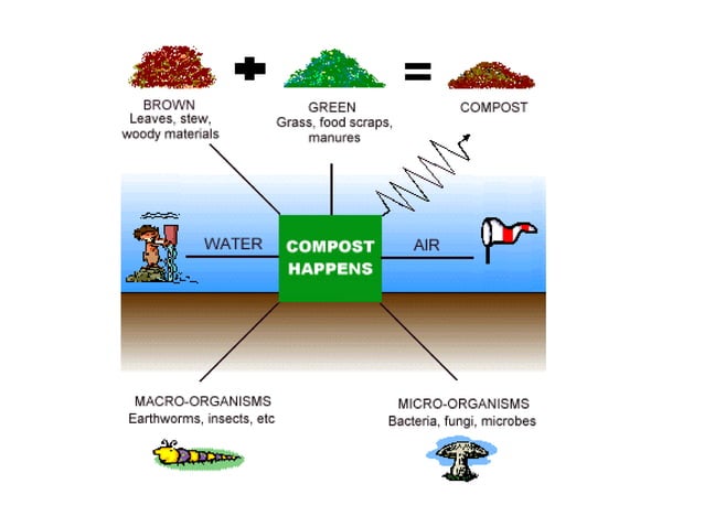Decay And Decomposition | PPT