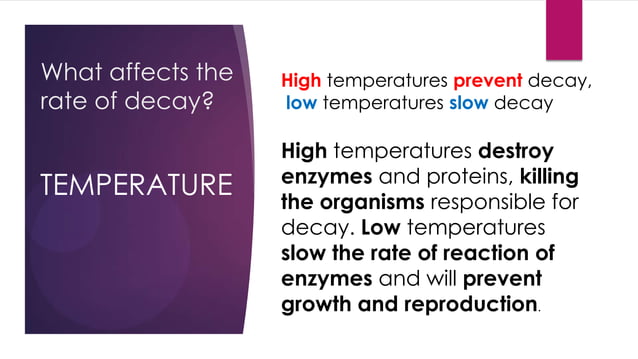 Decay and the carbon cycle | PPT