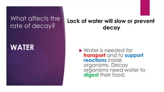 Decay and the carbon cycle | PPT