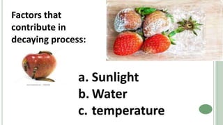 Decaying non decaying | PPTX | Infectious Diseases | Diseases and ...