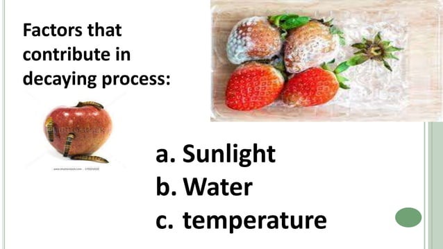 Decaying non decaying | PPTX | Infectious Diseases | Diseases and ...