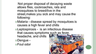 Decaying non decaying | PPTX | Infectious Diseases | Diseases and ...