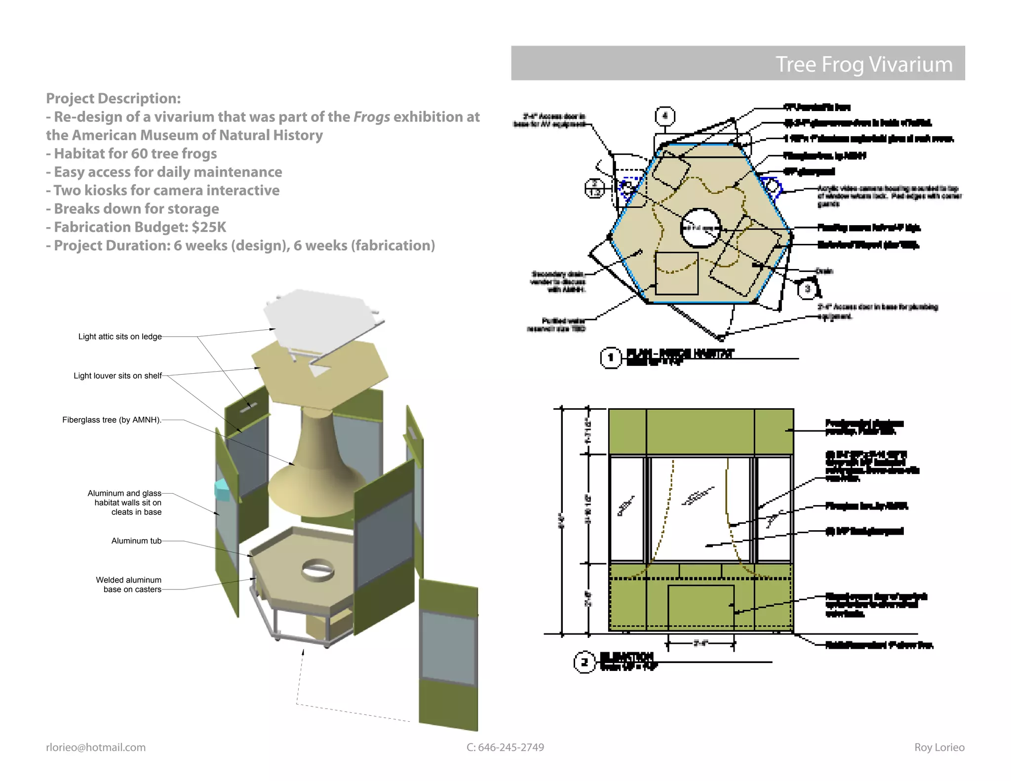 RL Portfolio AMNH Tree Frog_vs02_sm | PPT