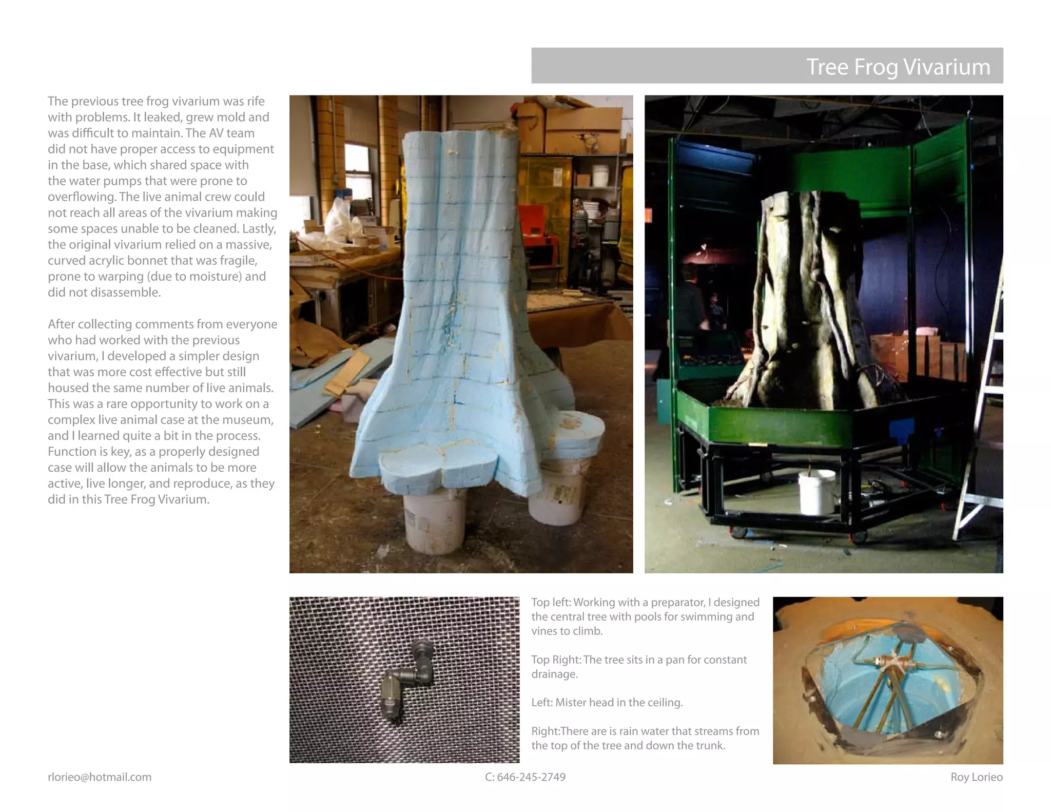 RL Portfolio AMNH Tree Frog_vs02_sm | PPT