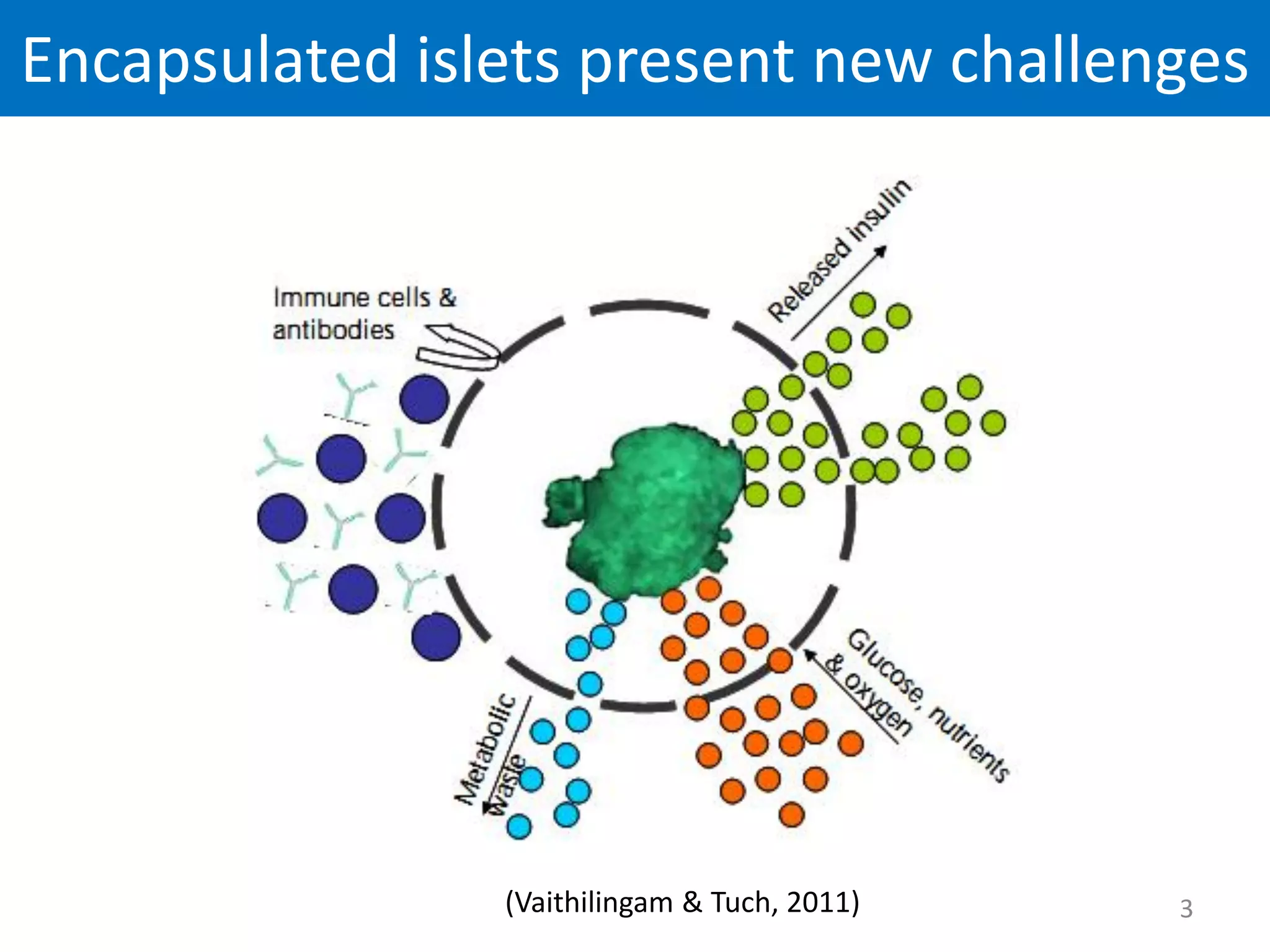 Oxygen Transfer Model and Microfluidic Encapsulation of Islets | PPT