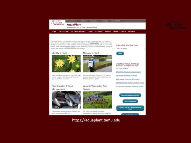 Pond Management & Weed Control - Brittany Chesser | PPT