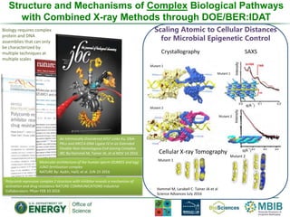 December Highlights | PPT