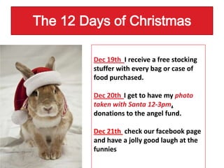 December slide show | PPTX