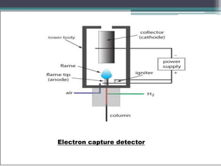 DETECTORS USED IN GAS CHROMATOGRAPHY AND HPLC BY P.RAVISANKAR. | PPTX