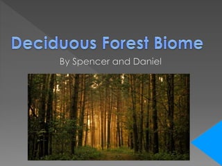 Deciduous Forest By Daniel & Spencer | PPTX