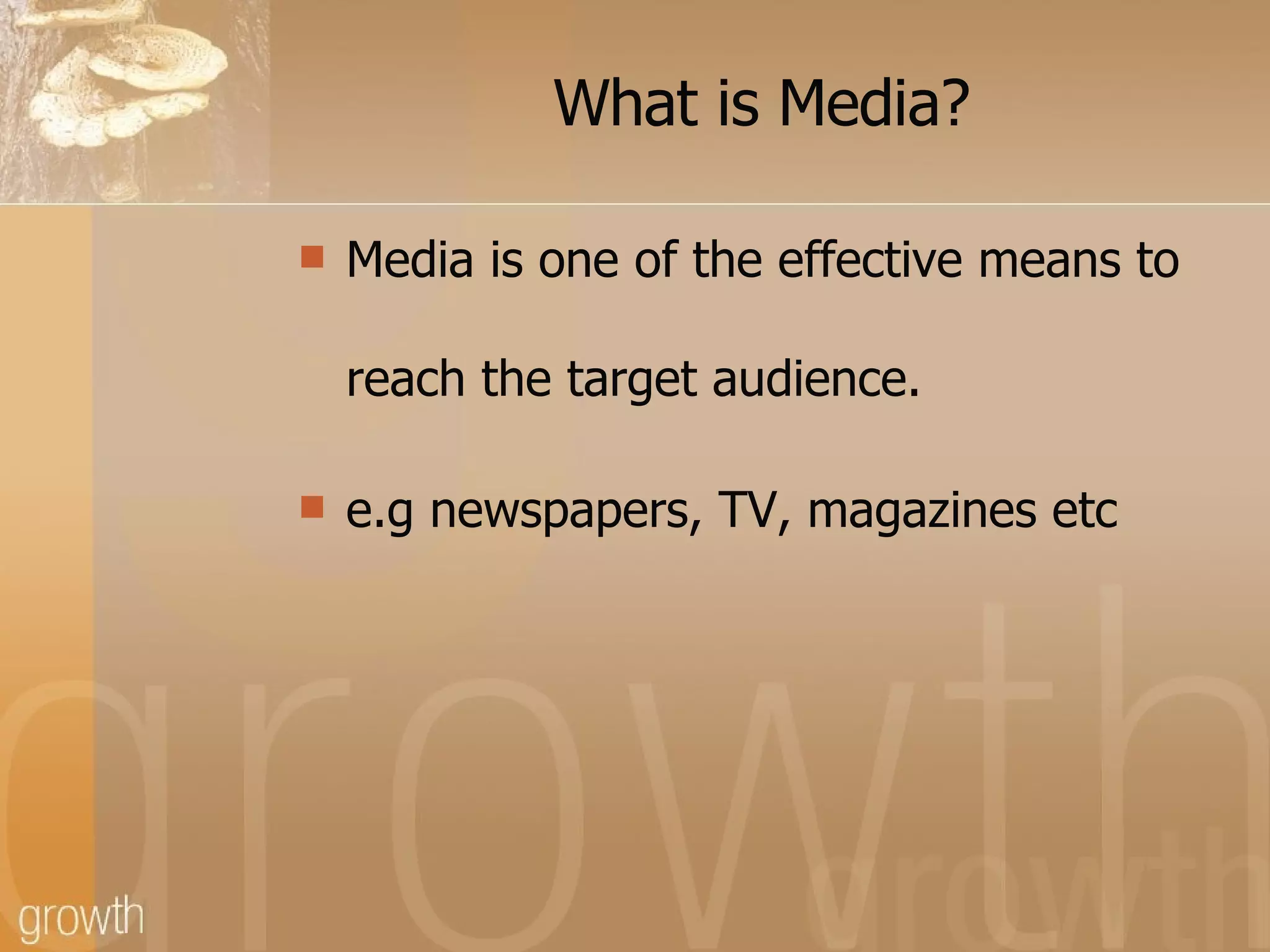 Deciding On Media And Measuring Effectiveness | PPT