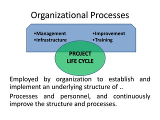 Deciding the software development life cycle procedure (according to ...