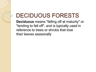 Decidous forests | PPTX