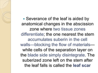 Decidous forests | PPTX