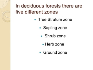 Decidous forests | PPTX
