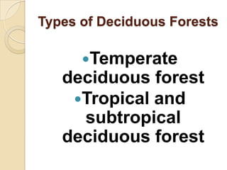 Decidous forests | PPTX