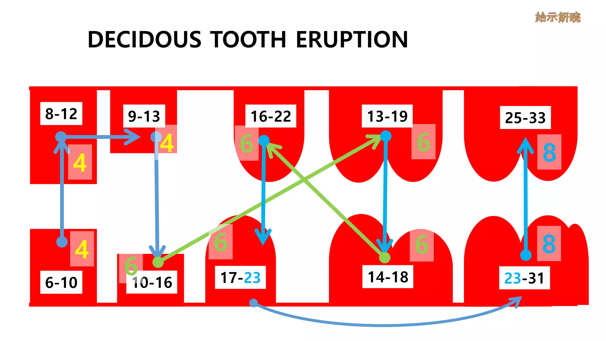 Deciduous tooth eruption & Quizzes- Help memorizing with Mnemonics and ...