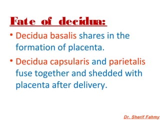 Decidua & Chorionic Velli (General Embryology) | PPS