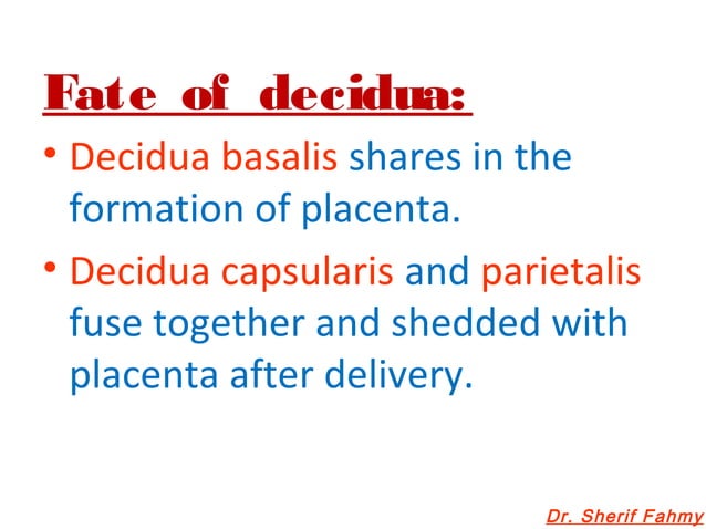 Decidua & Chorionic Velli (General Embryology) | PPS