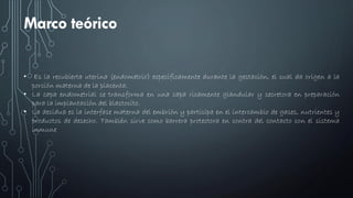 Deciduitis aguda en mujer menopáusica. Presentación de un caso | PDF