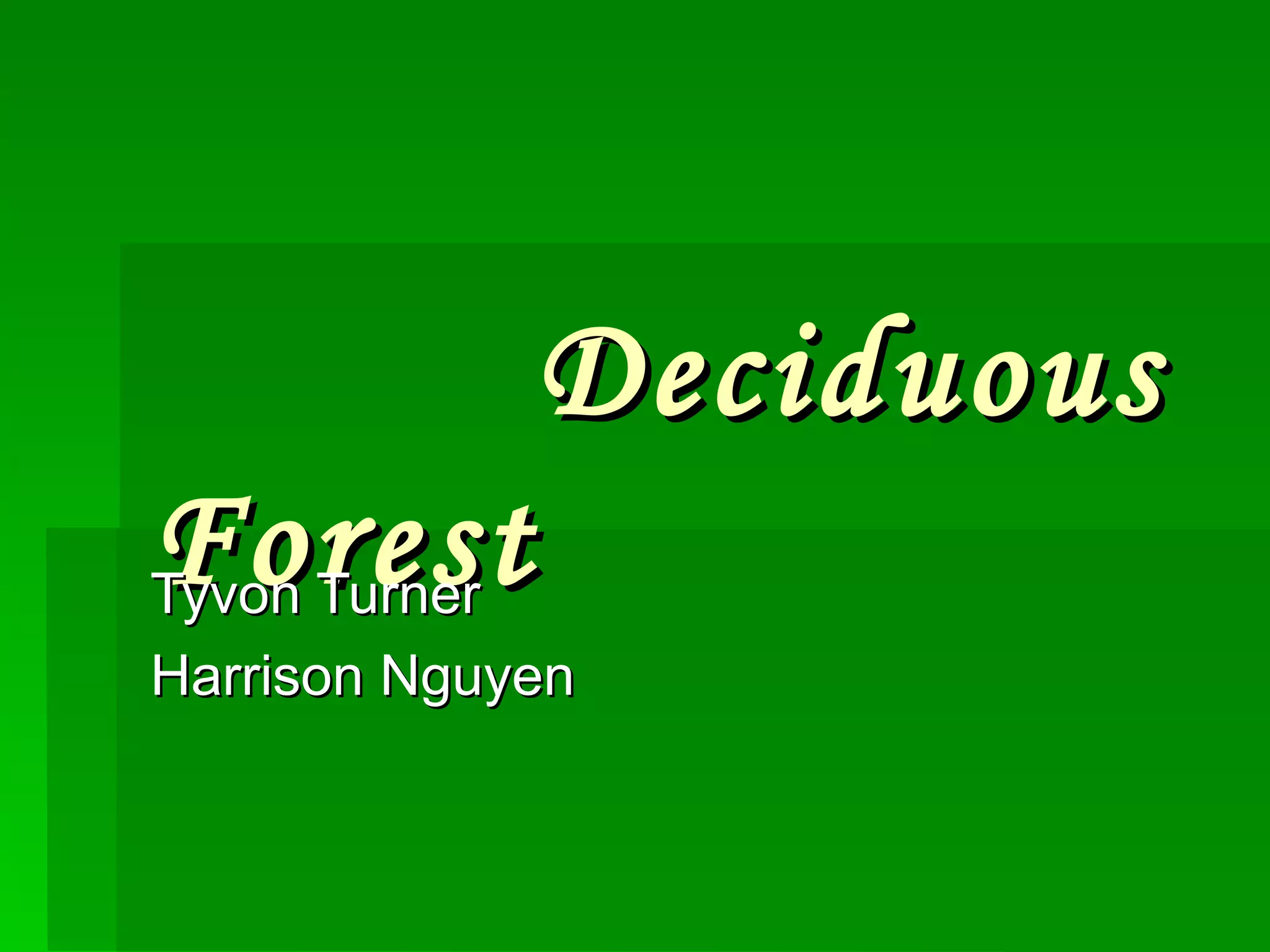 Deciduous Forest T.T.H.N. | PPT