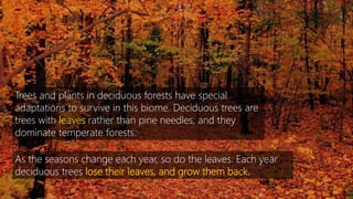 Deciduous biome | PPTX