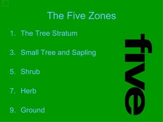 Deciduous Forest | PPT