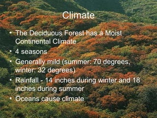 Temperate Deciduous Forest Climate
