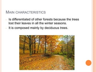 Deciduous forest | PPTX