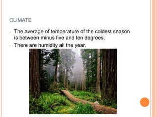 Deciduous forest | PPTX