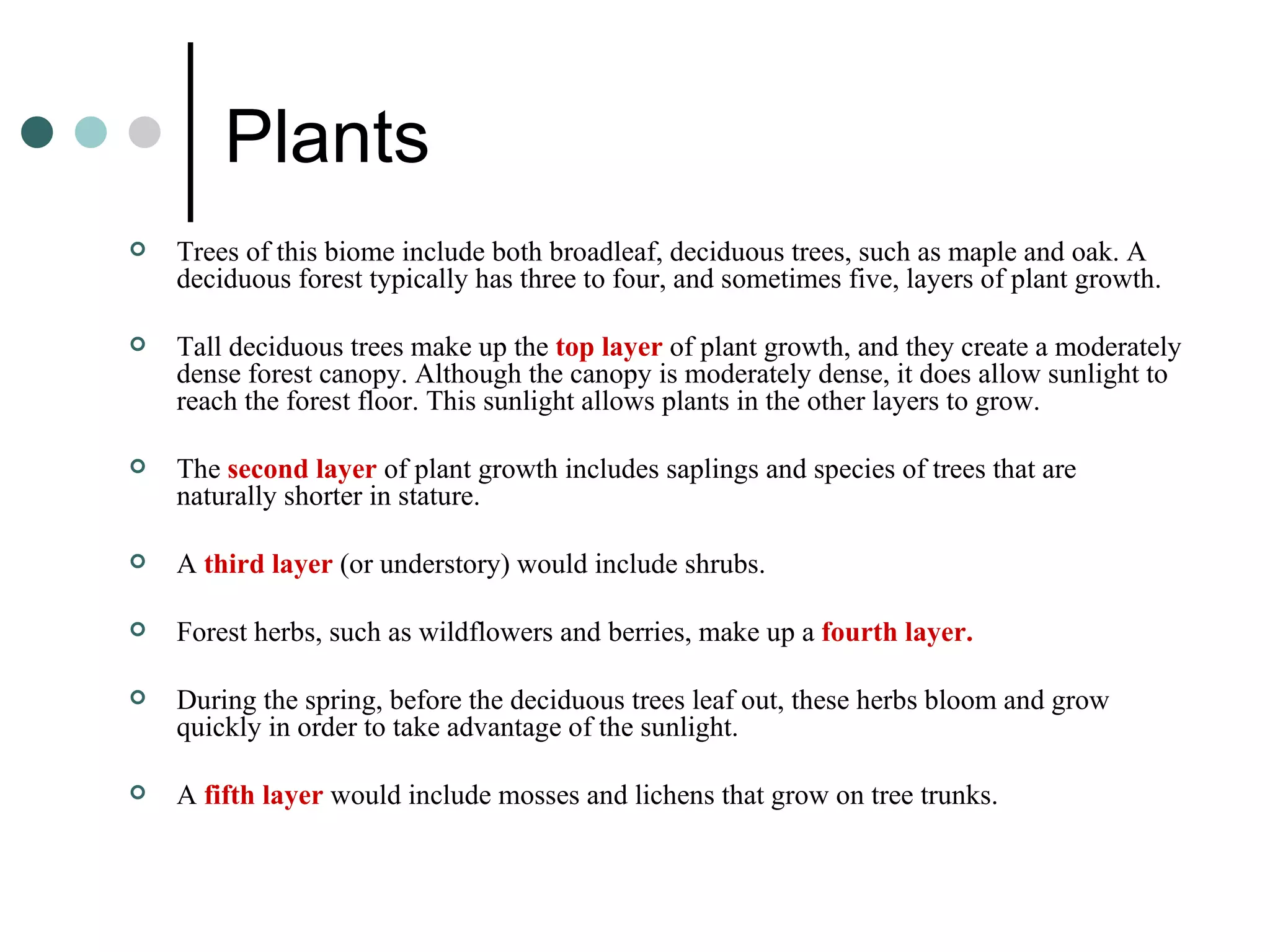 Deciduous forest biotic and abiotic | PPT