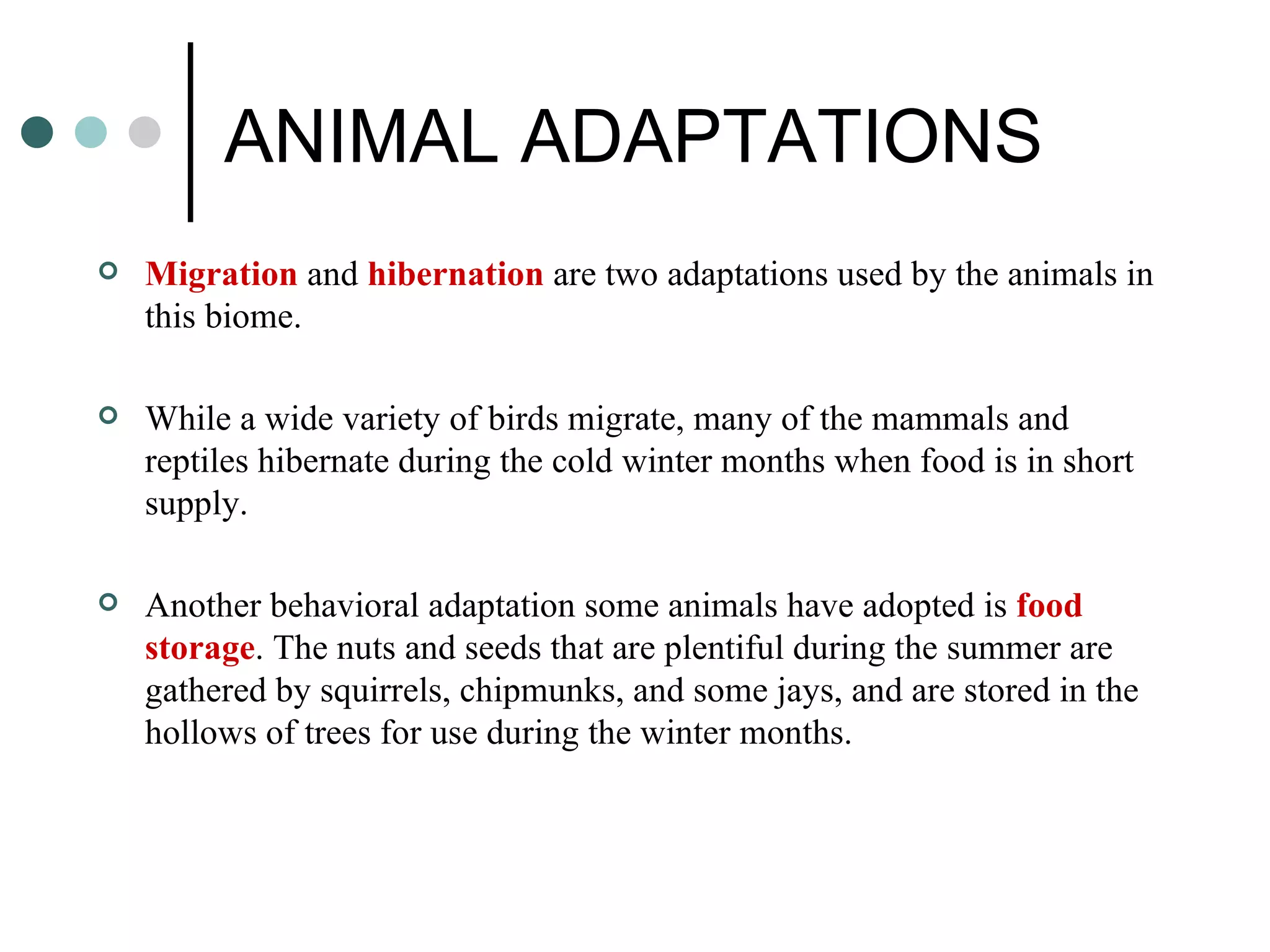 Deciduous forest biotic and abiotic | PPT