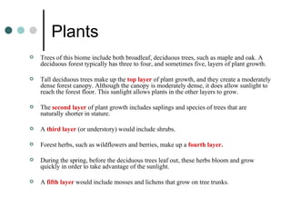 Deciduous forest biotic and abiotic | PPT